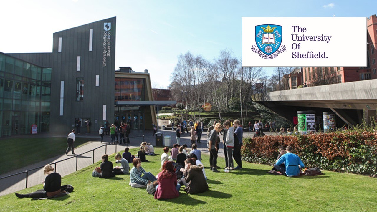 The University Of Sheffield British Council
